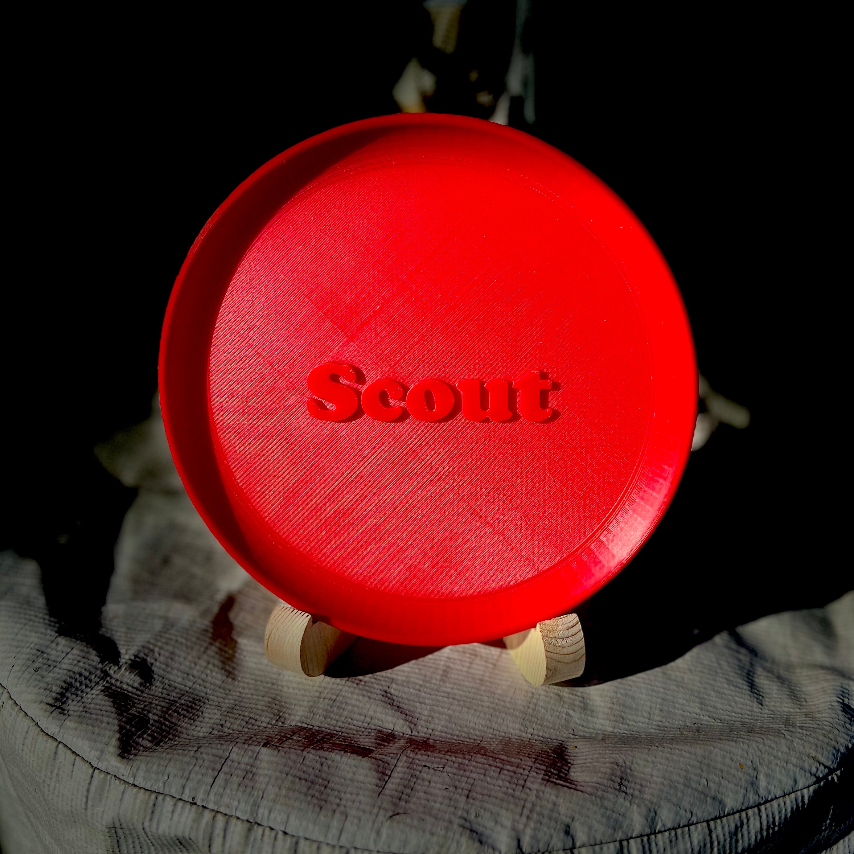 Custom Frisbee – DMS Solutions @ SSHS